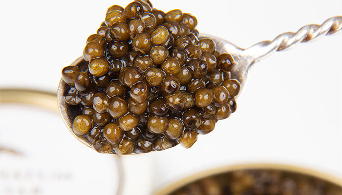What is Caviar and How to Serve it – Magnatum Europe